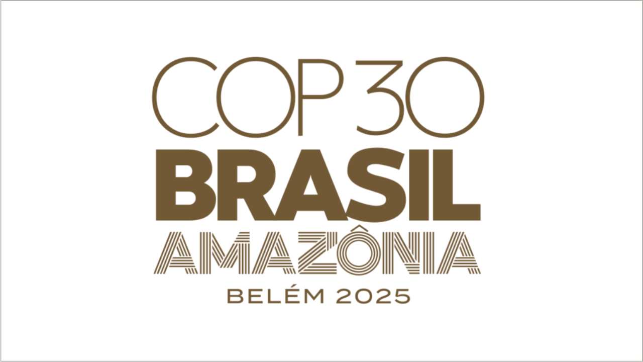 Danish Shipping to push for IMO climate deal at COP30 after October setback - BUNKER INDEX